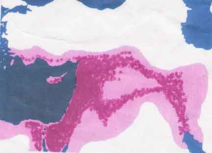 Halep Keçisi | Torunoğlu